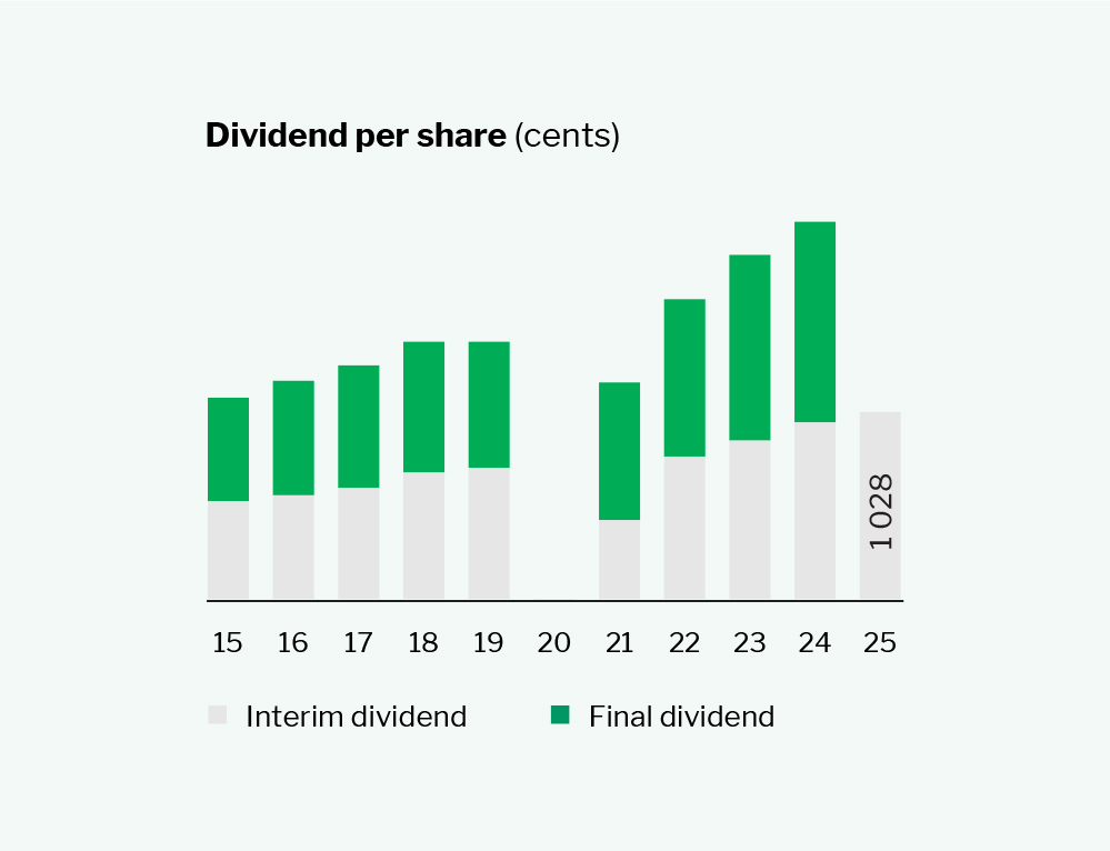 Equity Investors | Nedbank