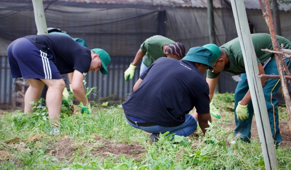 CA Training Programme | Nedbank