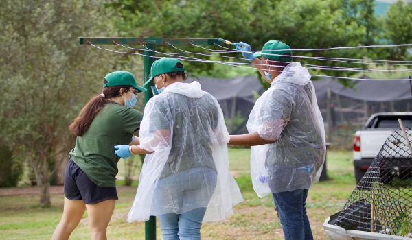 CA Training Programme | Nedbank